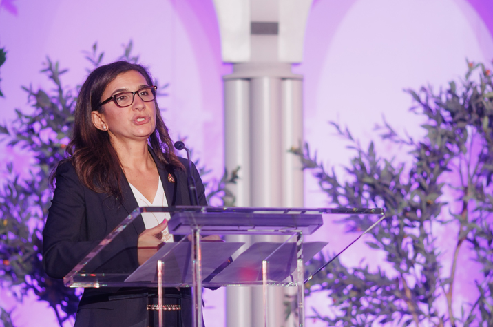 From infantry to cybercrime: Inspector Lina Dabit continues to defy ...