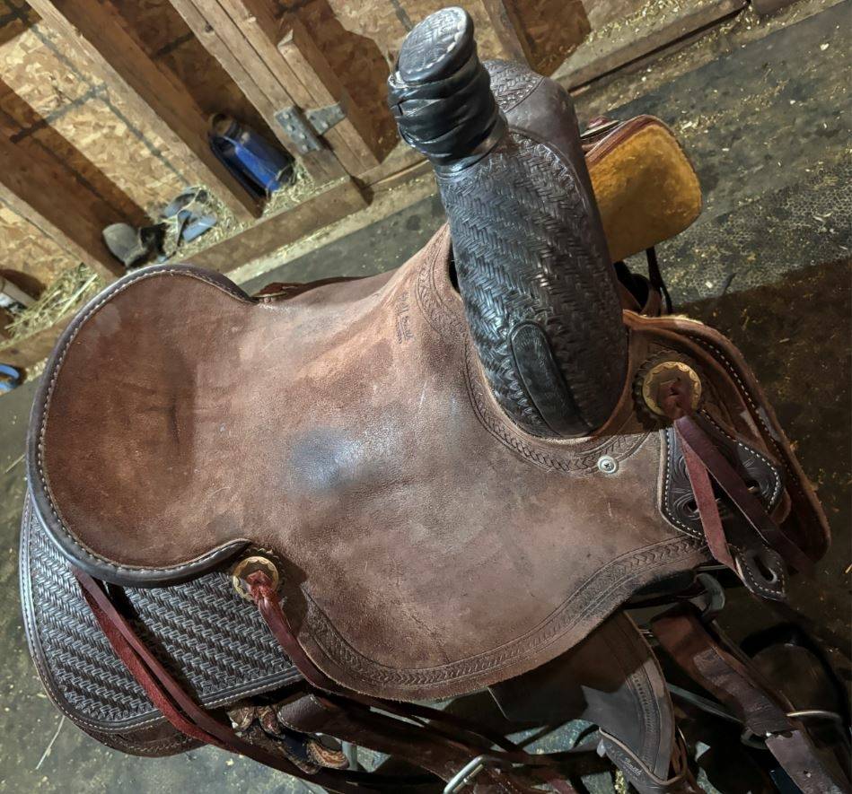 Have you seen this stolen horse and saddles? | Royal Canadian Mounted ...