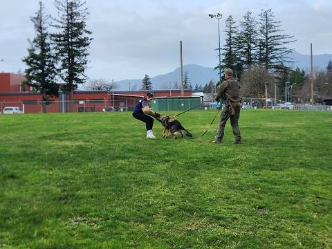 Chilliwack RCMP inspires youth with behind-the-scenes police training ...
